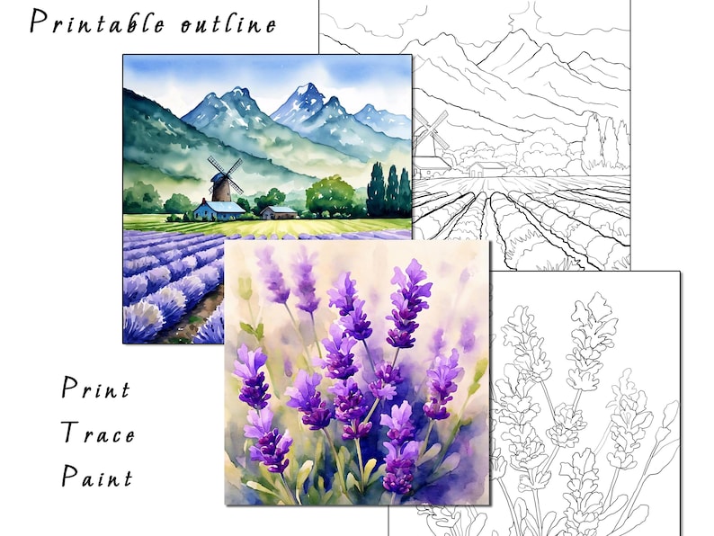 Lavender Flower Drawing Outline/landscape Drawing Outline,template ...