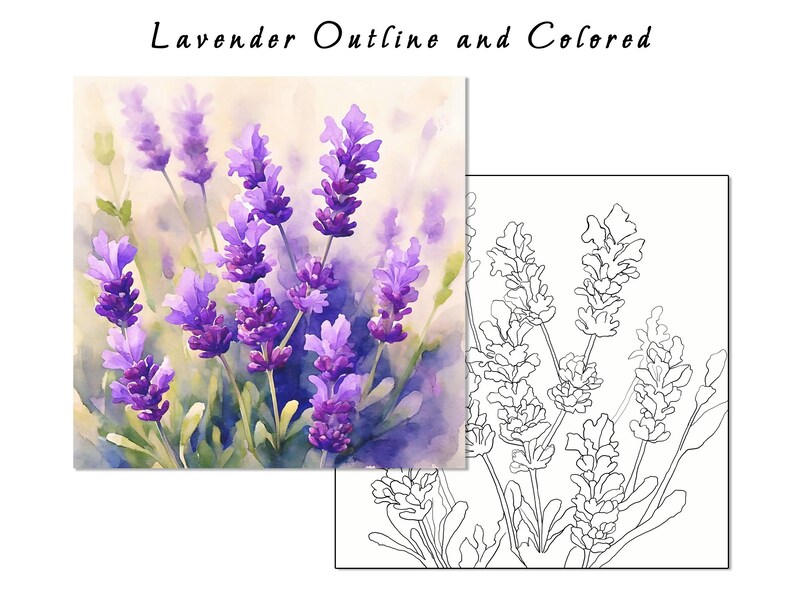 Lavender Flower Drawing Outline/landscape Drawing Outline,template ...