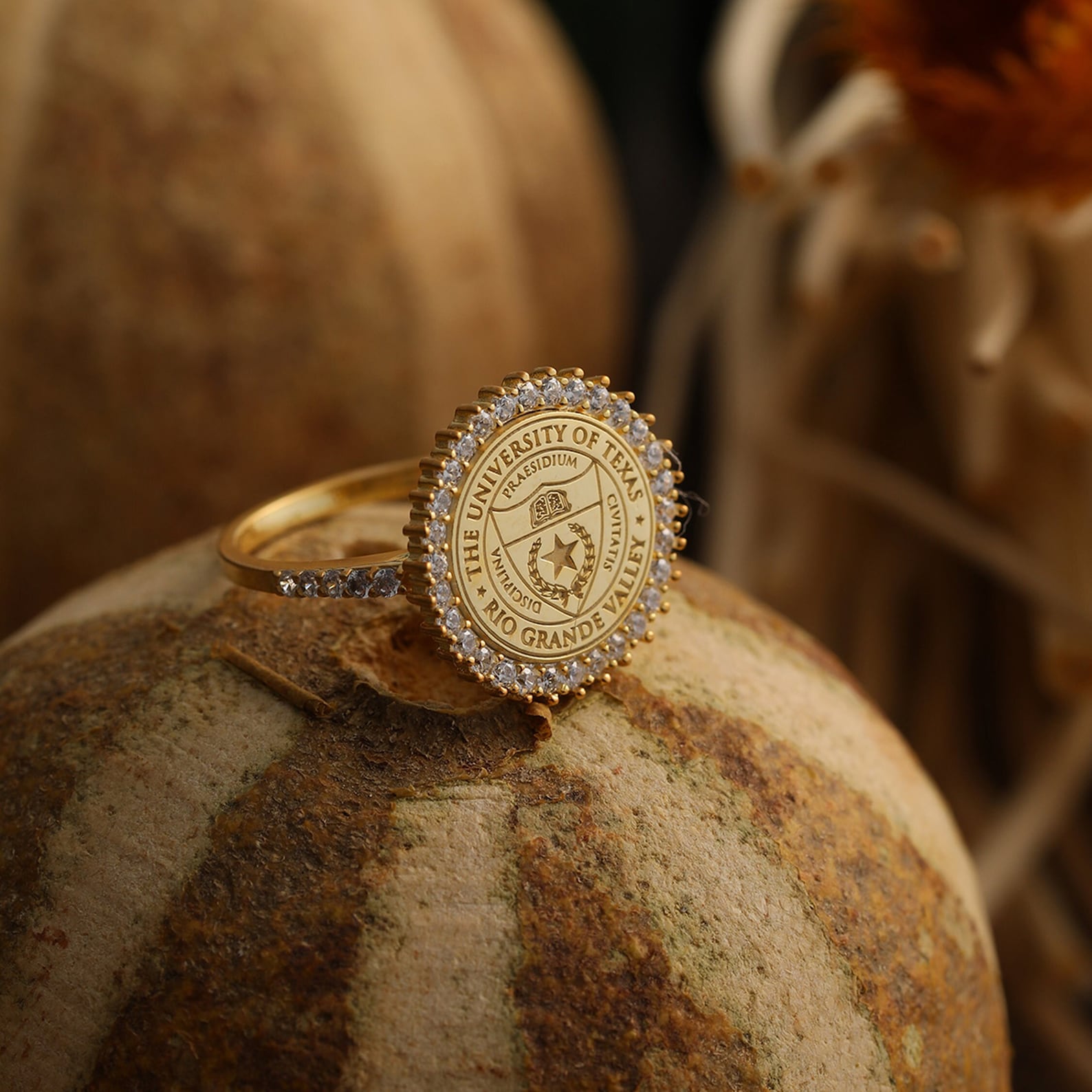 College Graduation Gift for Her, Custom College Class Ring, High School ...