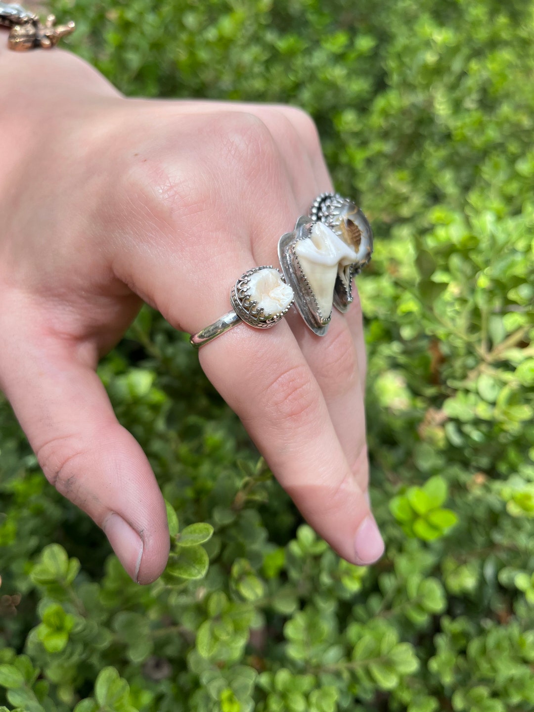 Real Human Tooth Ring - Etsy