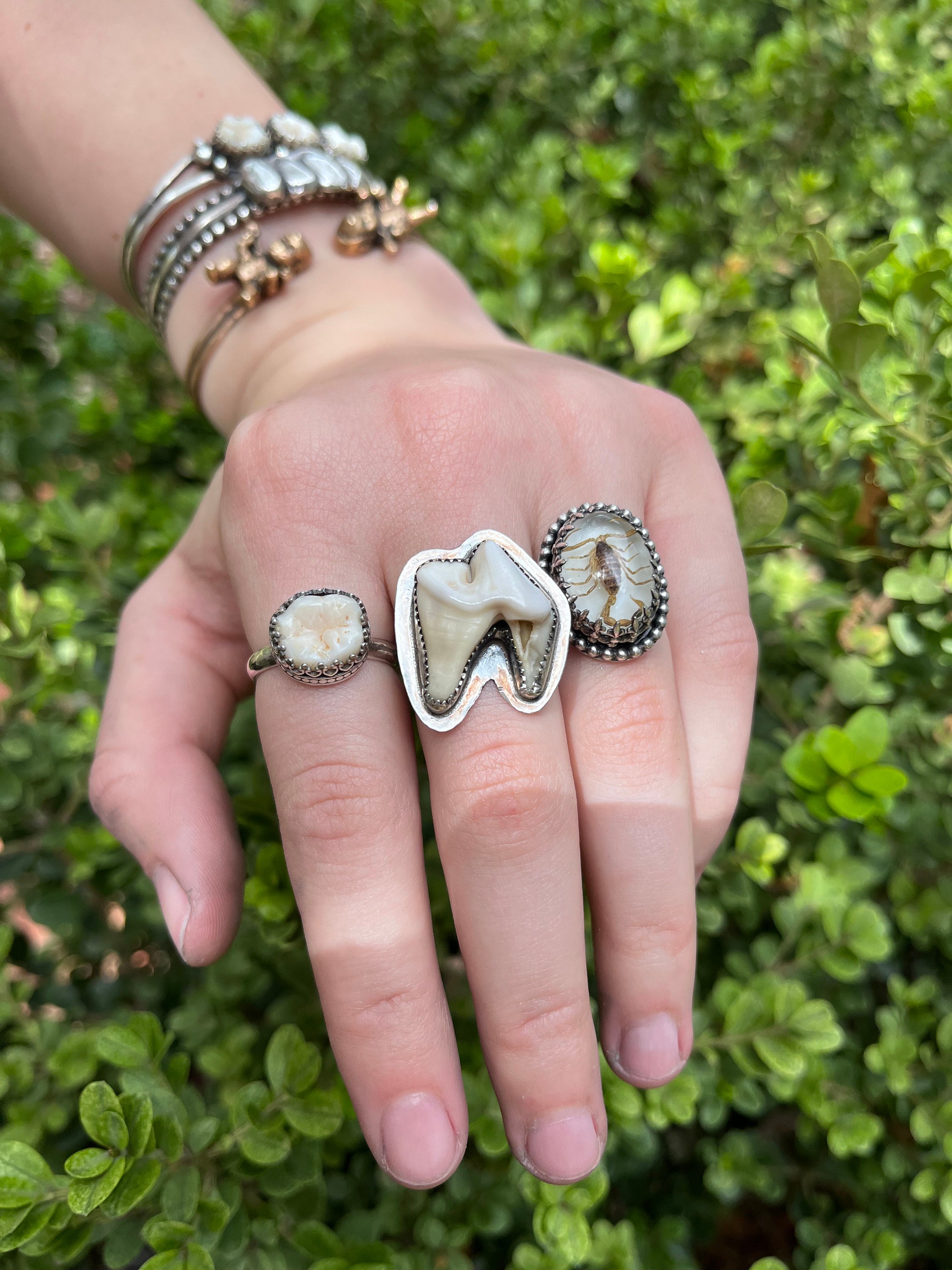 Real Human Tooth Ring - Etsy