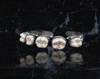 1 Human Teeth Bracelet Bangle Silver Zombie Penny Dreadful Jaw Bone ...