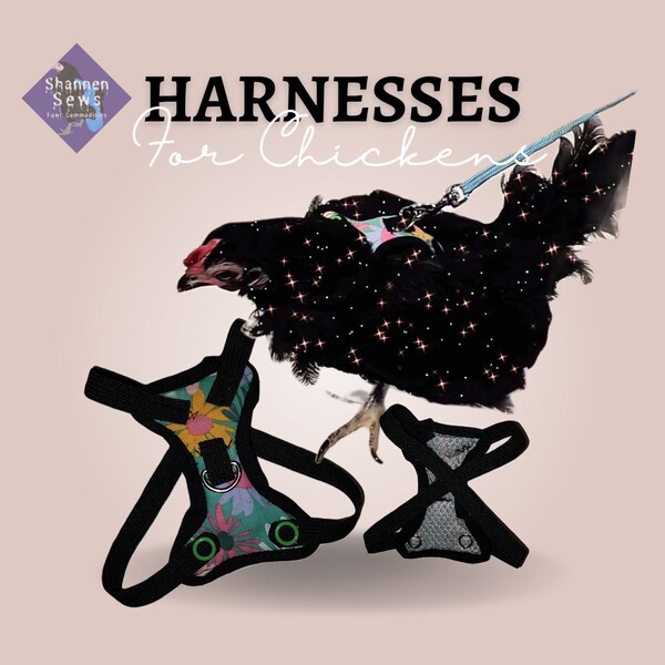 Chicken Harness - Etsy
