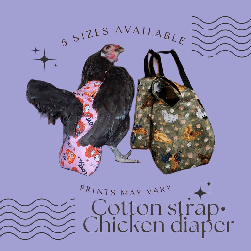 Chicken Diaper - Etsy
