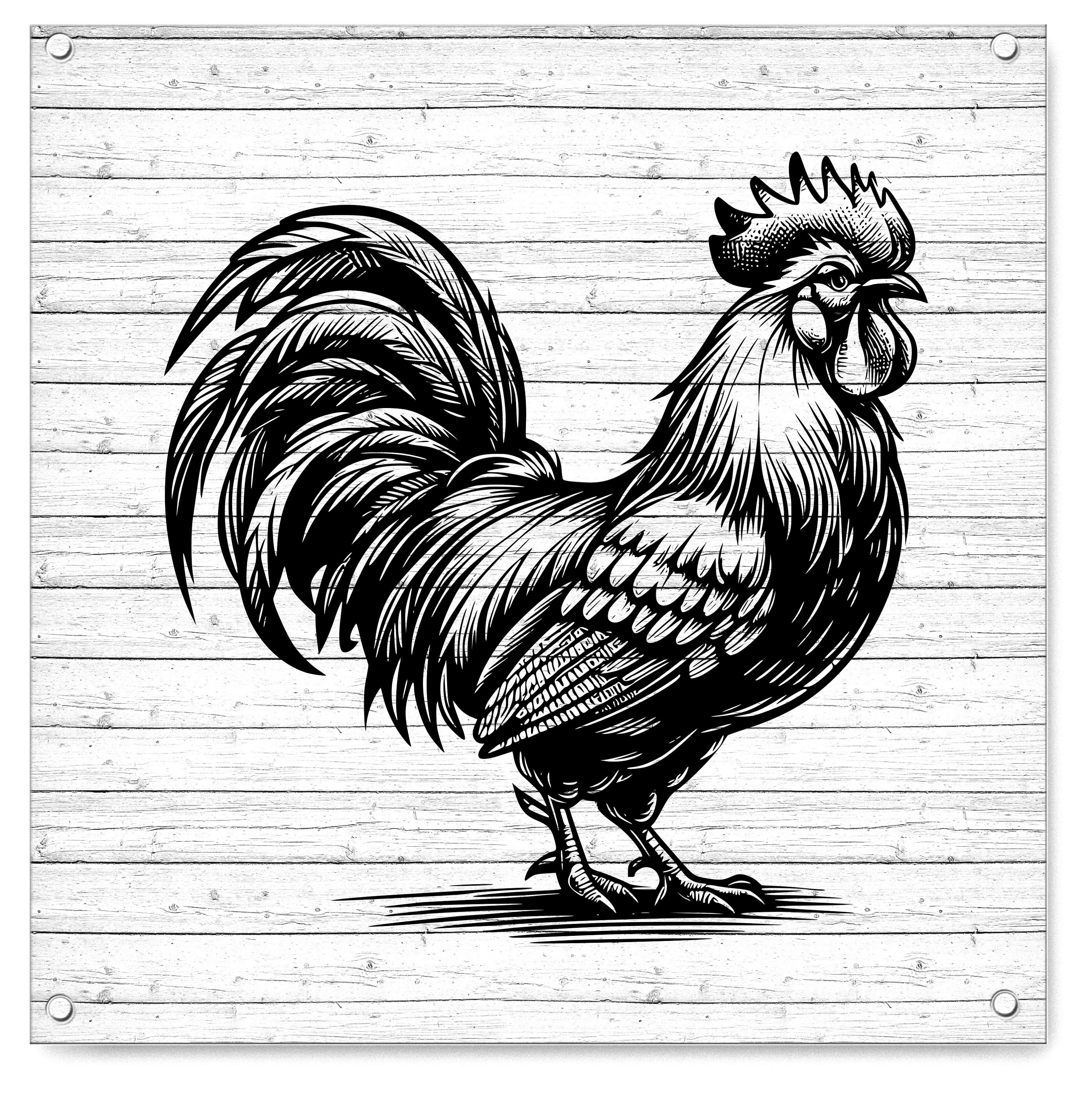 Esquema Del Dibujo De Un Gallo