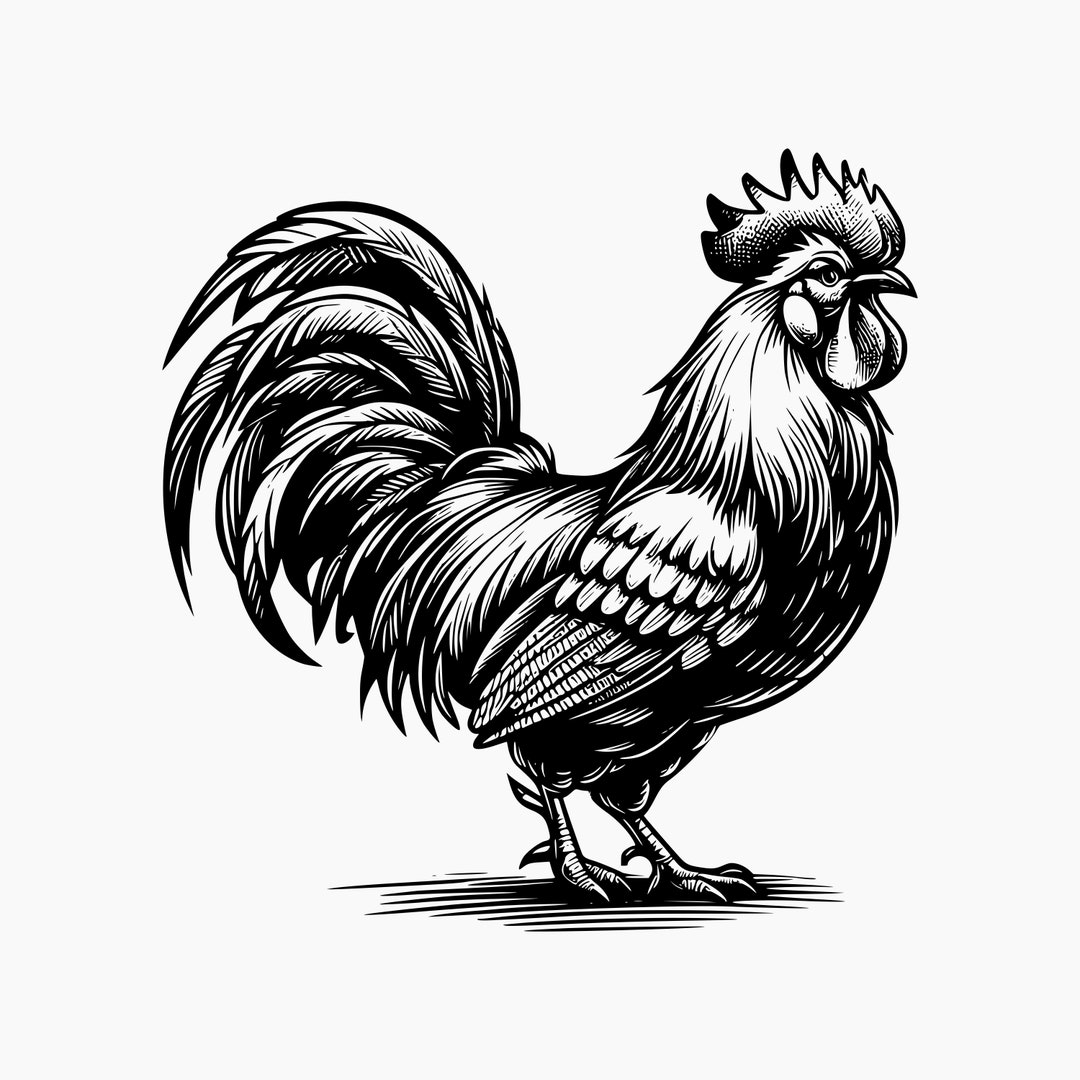 Rooster Sketch Style. Svg Png Eps Dxf Cut Files. - Etsy