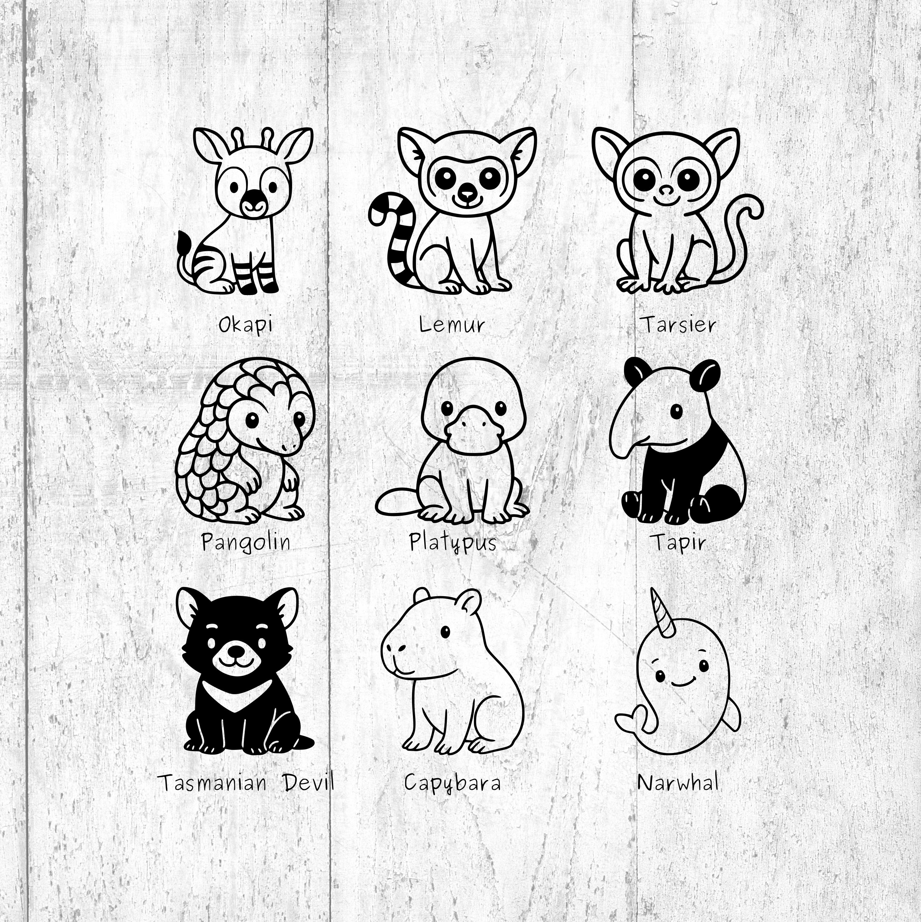 Kawaii Exotic Animals - Okapi, Lemur, Tarsier, Pangolin, Platypus ...