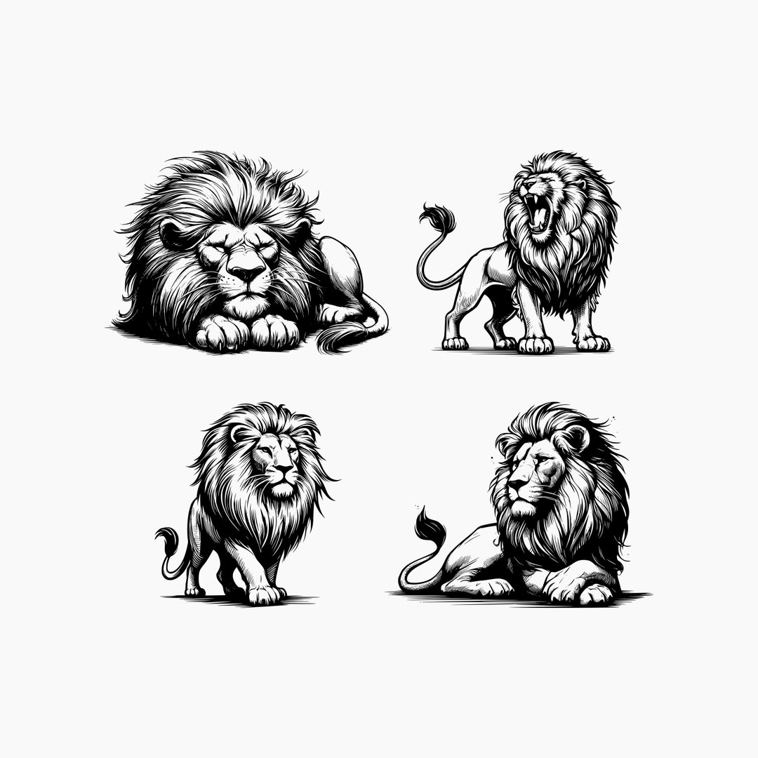 Lion Sketch Style. 4 Svg Bundle. Svg Png Eps Dxf Cut Files. - Etsy