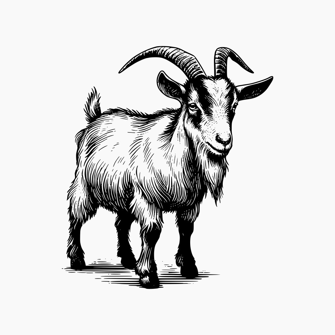 Goat Sketch Style. Svg Png Eps Dxf Cut Files. - Etsy