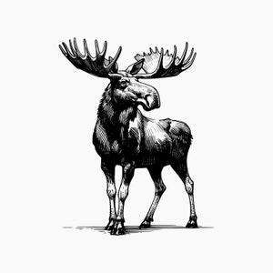 Moose Sketch Style. Svg Png Eps Dxf Cut Files. - Etsy