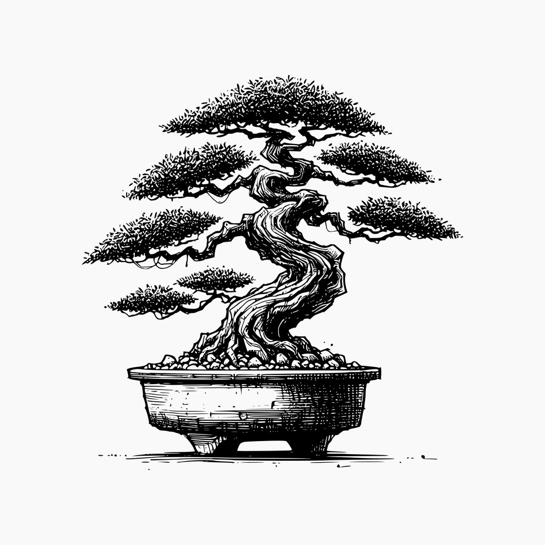 Bonsai Sketch Style. Svg Png Eps Dxf Cut Files. - Etsy