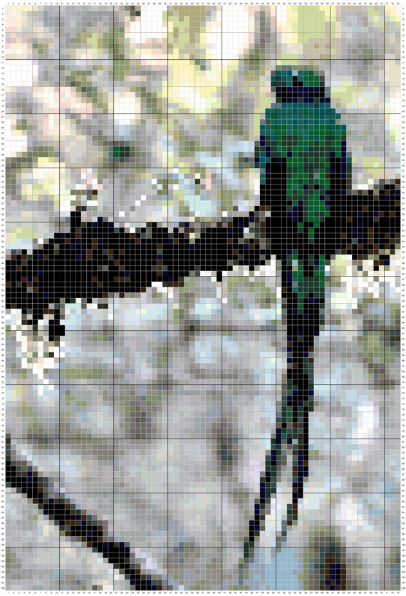 Cross Stitch Pattern Quetzal Bird Guatemalas National Bird - Etsy