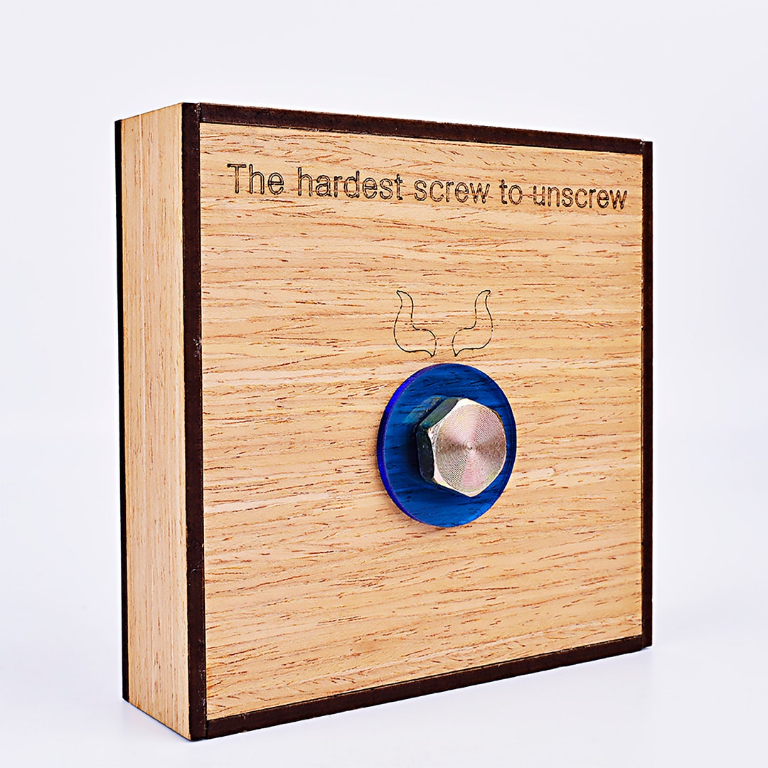 Unscrewable Screws Screw Puzzle Screw Toy Montessori Screw - Etsy