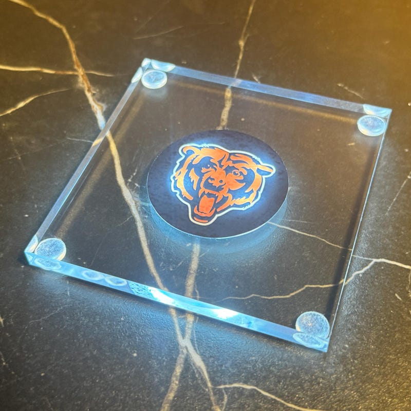 Bear Coasters - Etsy