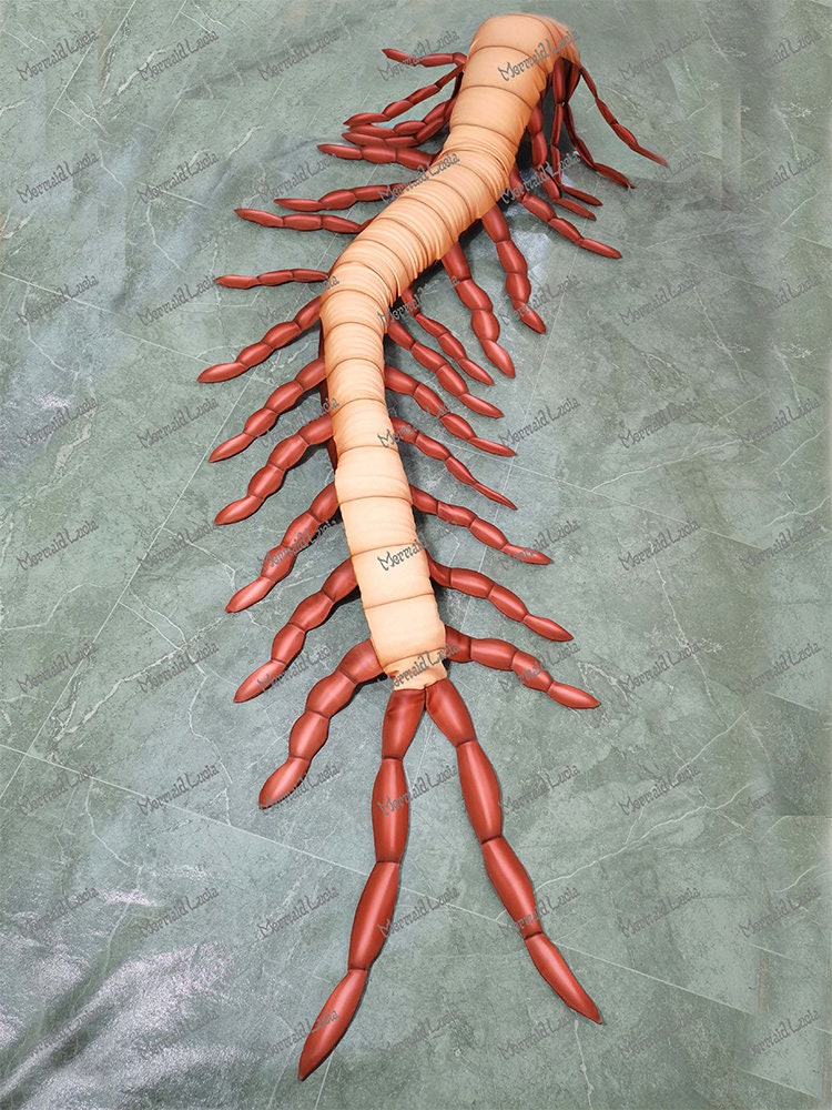 Realistic Centipede Mermaid Merman Diving Swimming Tail Cosplay - Etsy