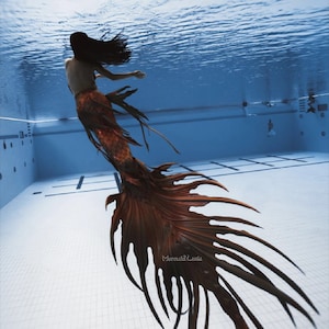 Custom Dragon Silicone Tail Affordable Ultralight Tails - Etsy