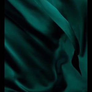 Dark Green Luna Moth Resin Mermaid Corset Bra Top Cosplay Costume ...