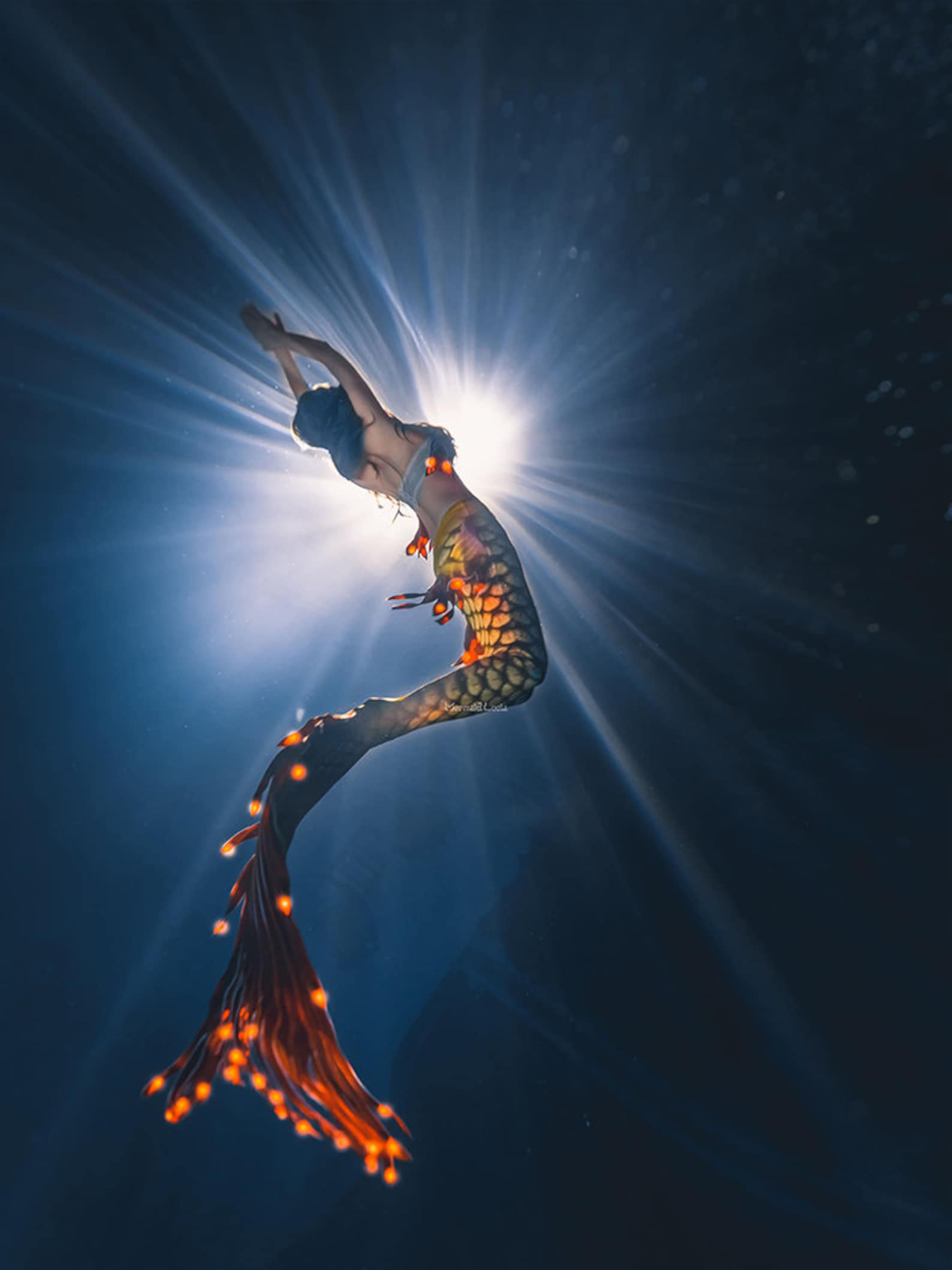 Patent-protected Glowing Mermaid Merman Tail Style 1 Yellow Red - Etsy