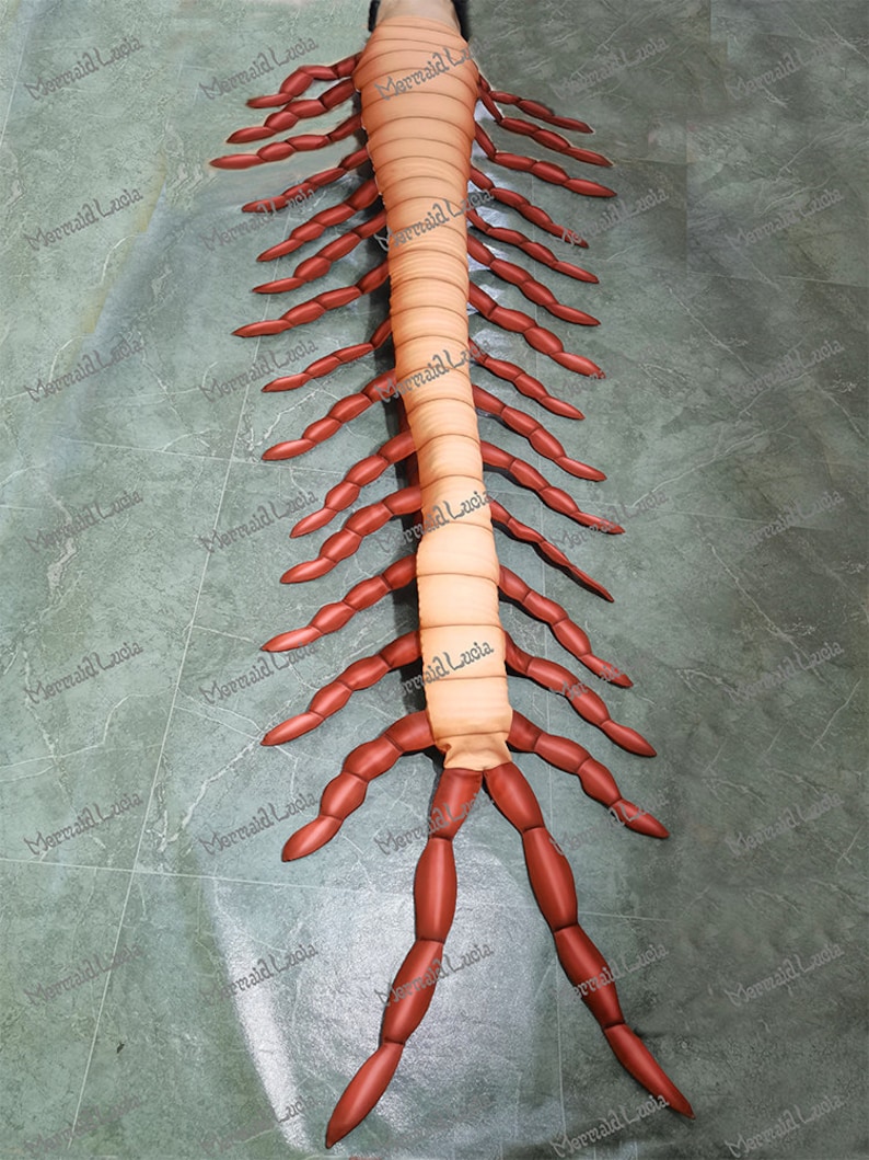 Realistic Centipede Mermaid Merman Diving Swimming Tail Cosplay - Etsy