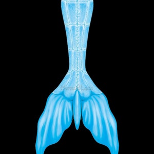 Realistic Shrimp Lobster Mermaid Merman Diving Swimming Tail Cosplay - Etsy