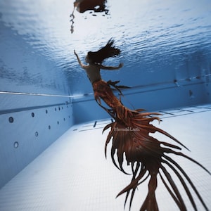 Custom Dragon Silicone Tail Affordable Ultralight Tails - Etsy