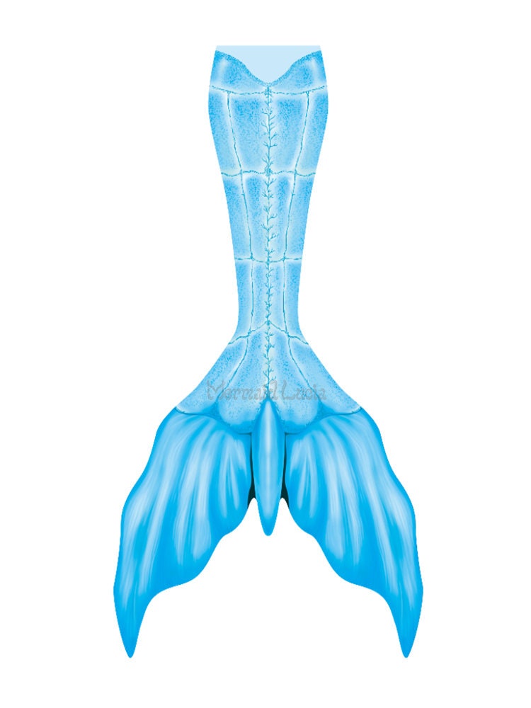 Realistic Shrimp Lobster Mermaid Merman Diving Swimming Tail - Etsy ...