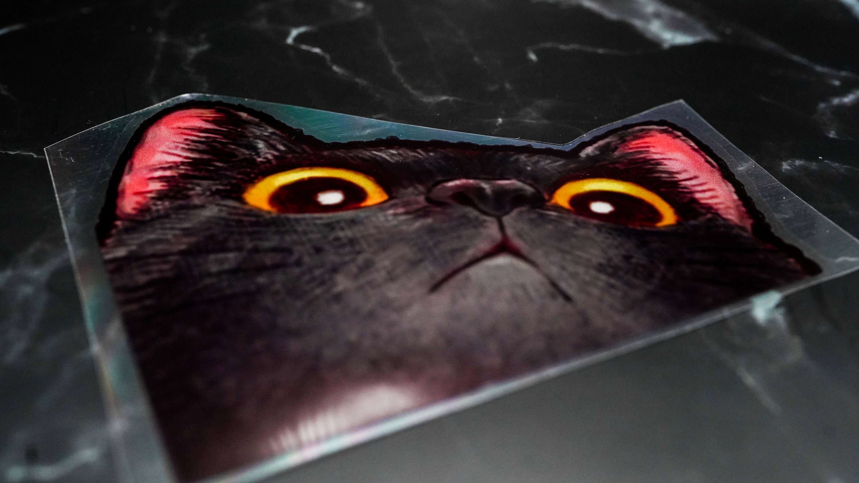 Shocked Black Cat Peeker - Etsy