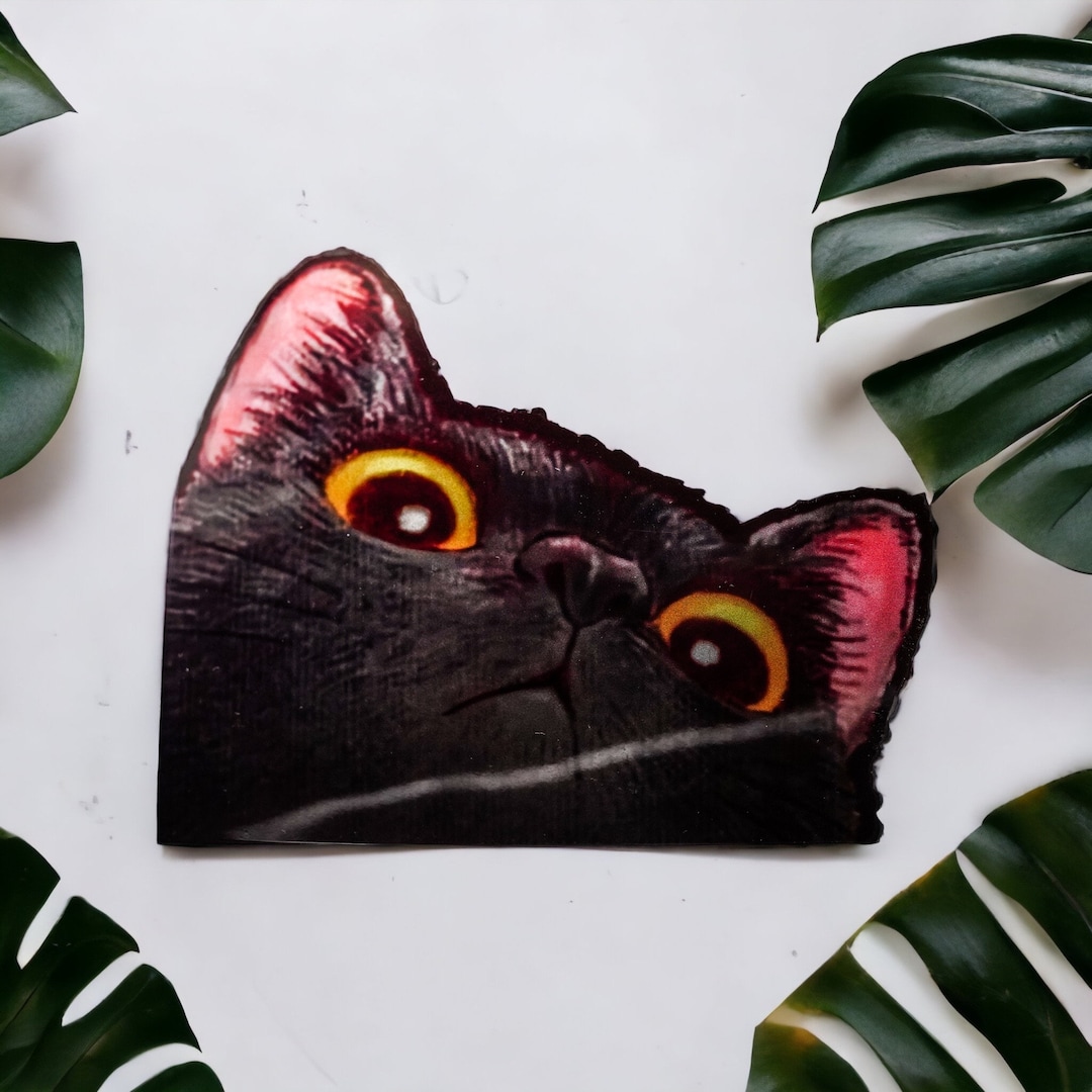 Shocked Black Cat Peeker - Etsy