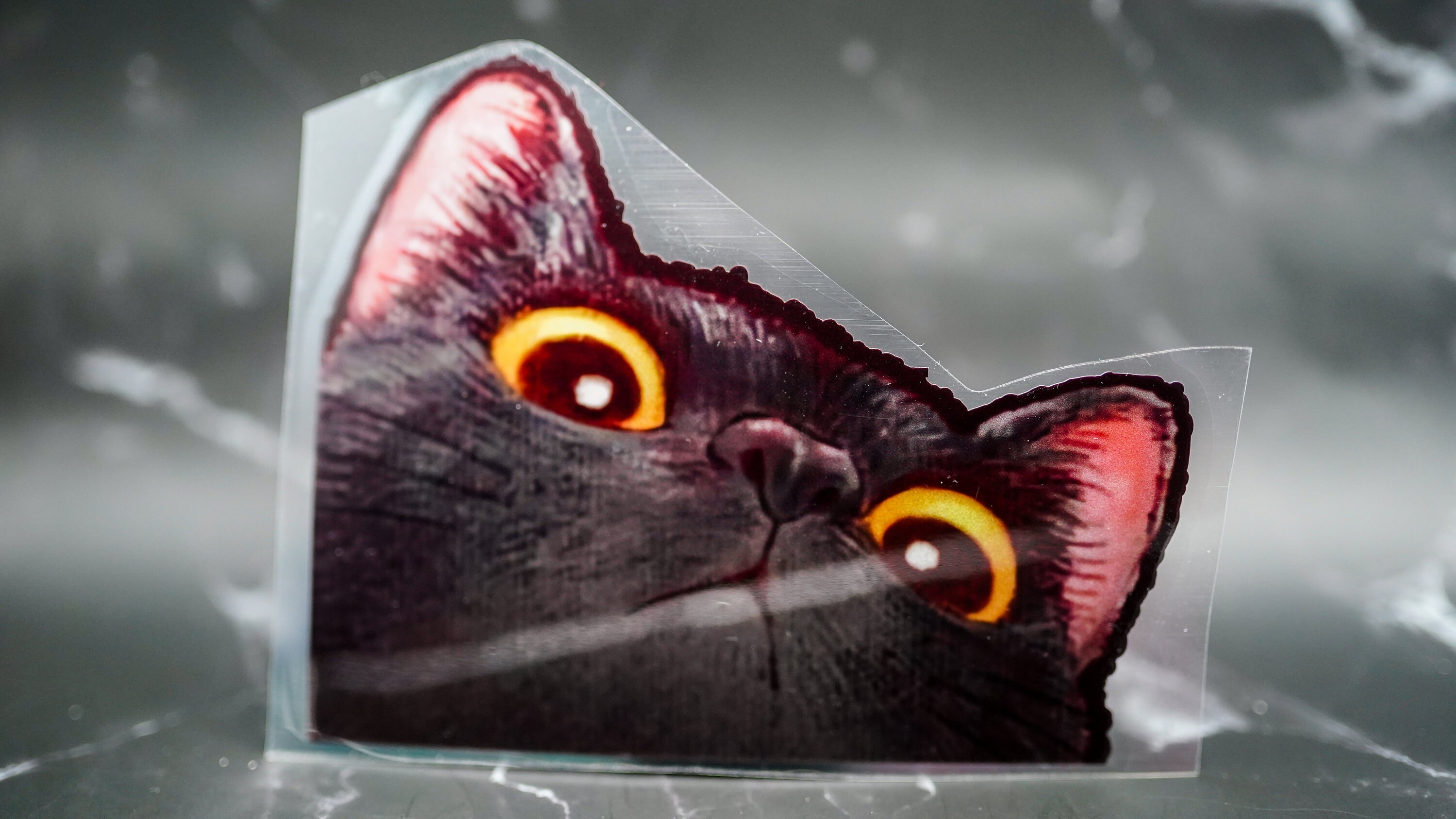 Shocked Black Cat Peeker - Etsy