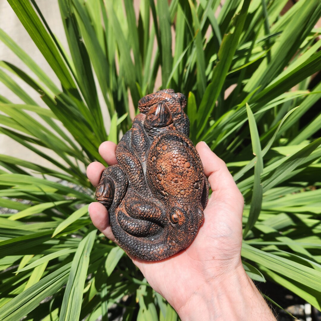 Obsidian Octopus Carving - Etsy