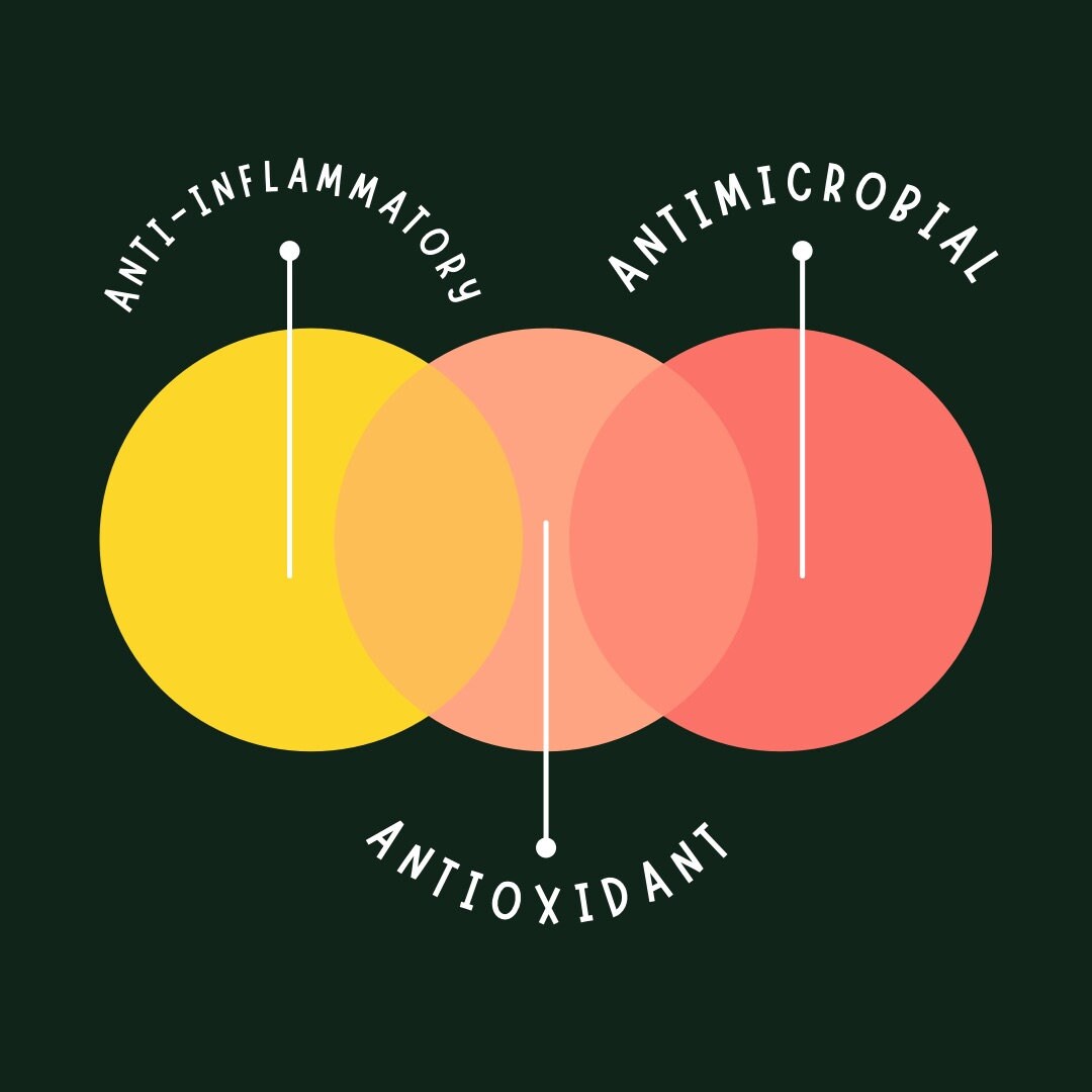 Babassu Oil, USDA Organic, Cold Pressed, Refined, Raw Babassu Butter ...