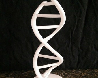 Dna Model | Etsy