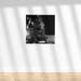 Apollo 12 Alan Bean Lunar Module Intrepid Moon Photo Poster Art Print B ...