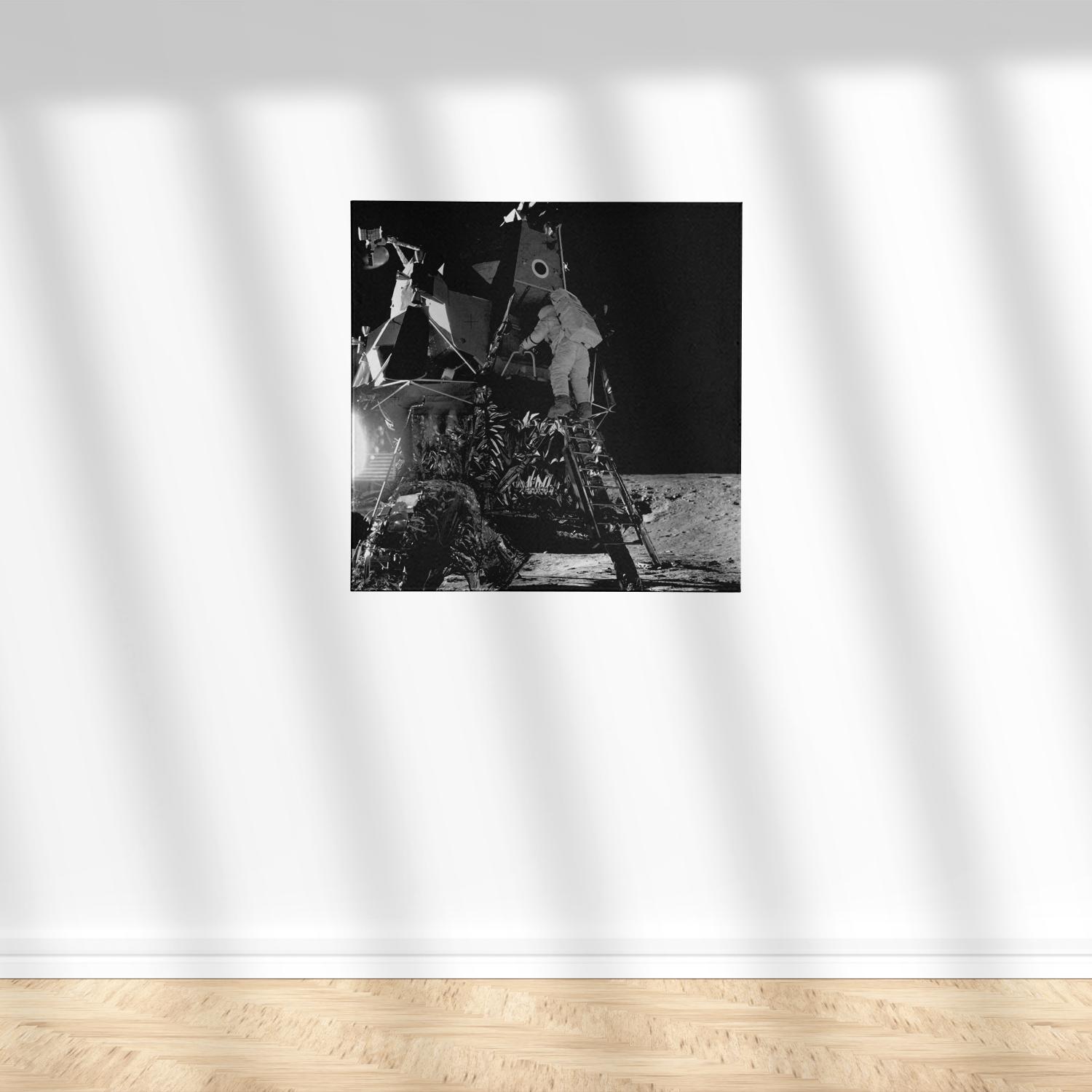 Apollo 12 Alan Bean Lunar Module Intrepid Moon Photo Poster Art Print B ...