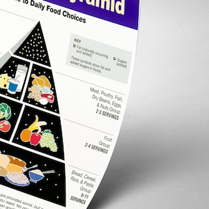 Retro 1990s Food Guide Pyramid Daily Food Choice Diagram Chart Poster ...