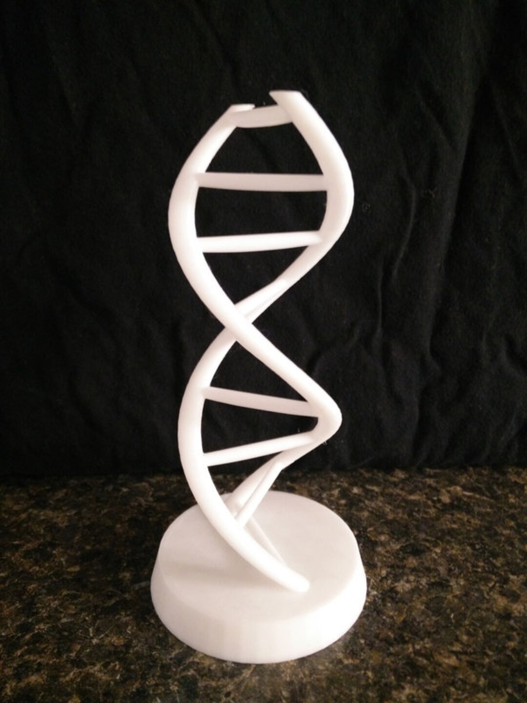 DNA Double Helix Molecule 3D Printed Model Sculpture Molecule Science ...