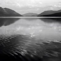 John Calvin 1550 Calvinism Painting Poster Art Print - Etsy