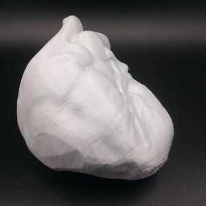 Human Heart Sculpture Anatomical Model Organ Medicine Life Size, Pick ...
