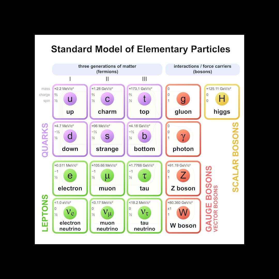 Standard Model of Elementary Particles Boson Fermion Chart Diagram ...