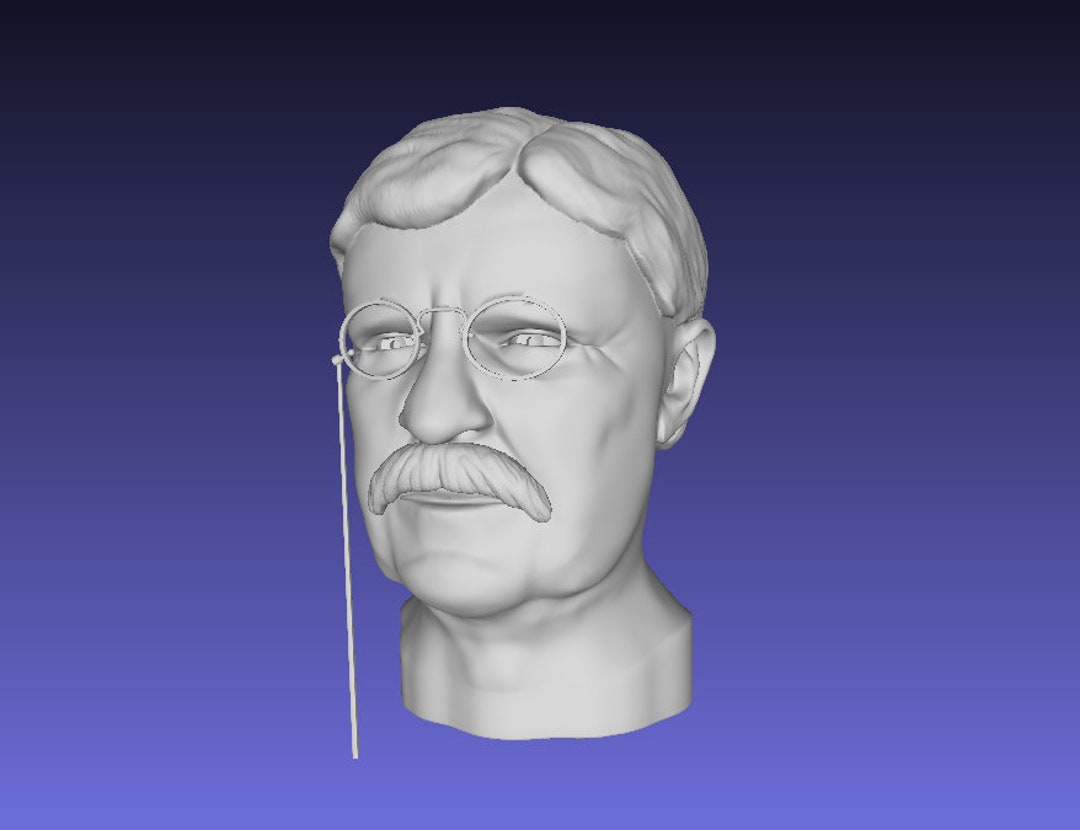 President Theodore Roosevelt 3D Printed Bust Statue Figurine Sculpture ...