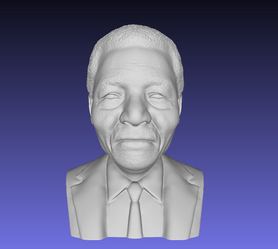 Nelson Mandela South Africa 3D Printed Bust Statue Figure - Etsy