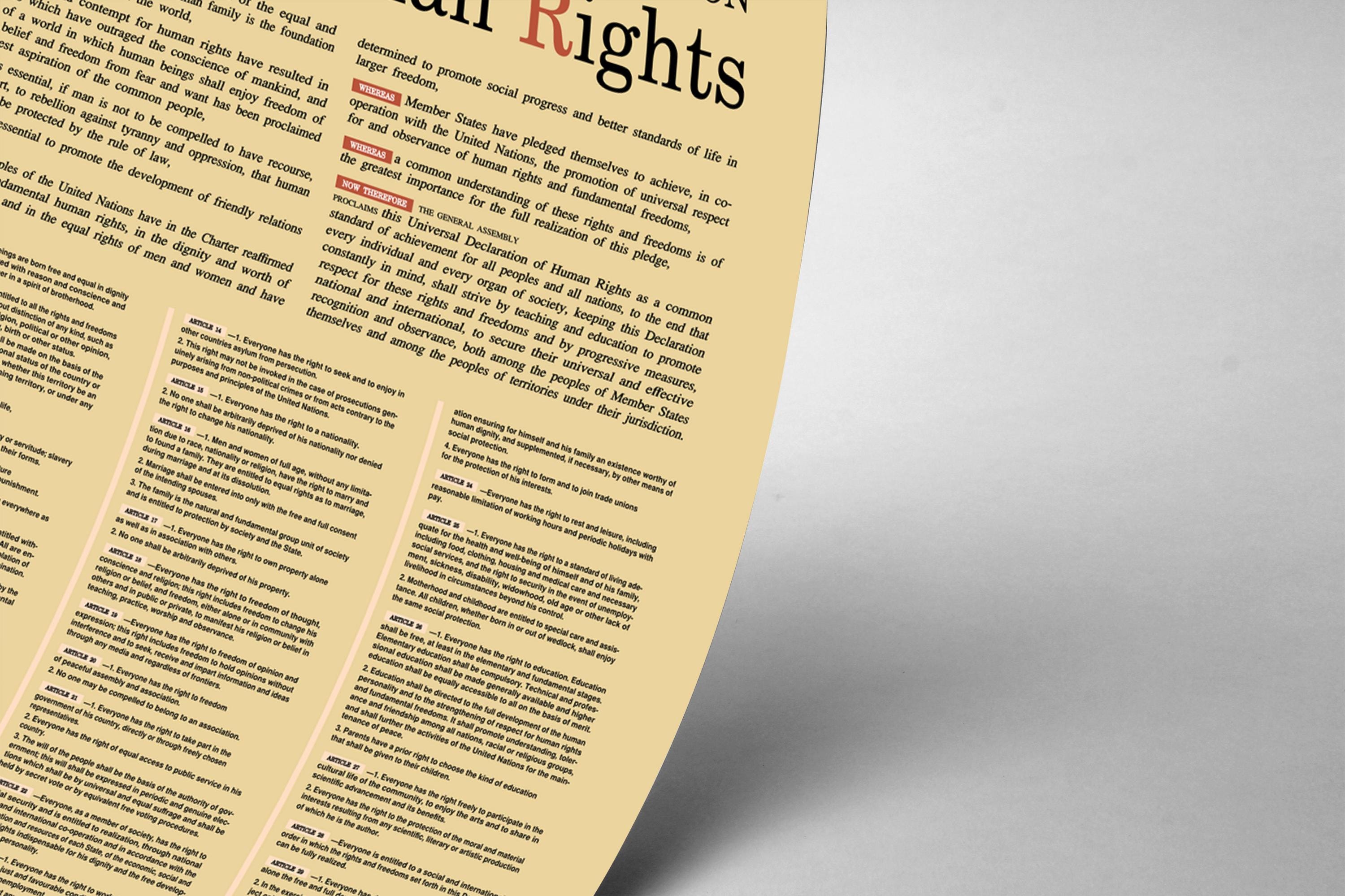 Universal Declaration of Human Rights UN Broadsheet Poster Art Print ...