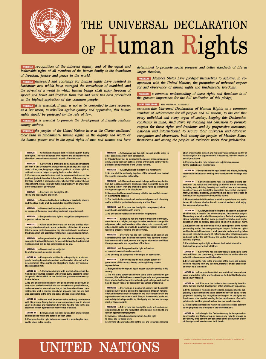 Universal Declaration of Human Rights UN Broadsheet Poster Art Print ...