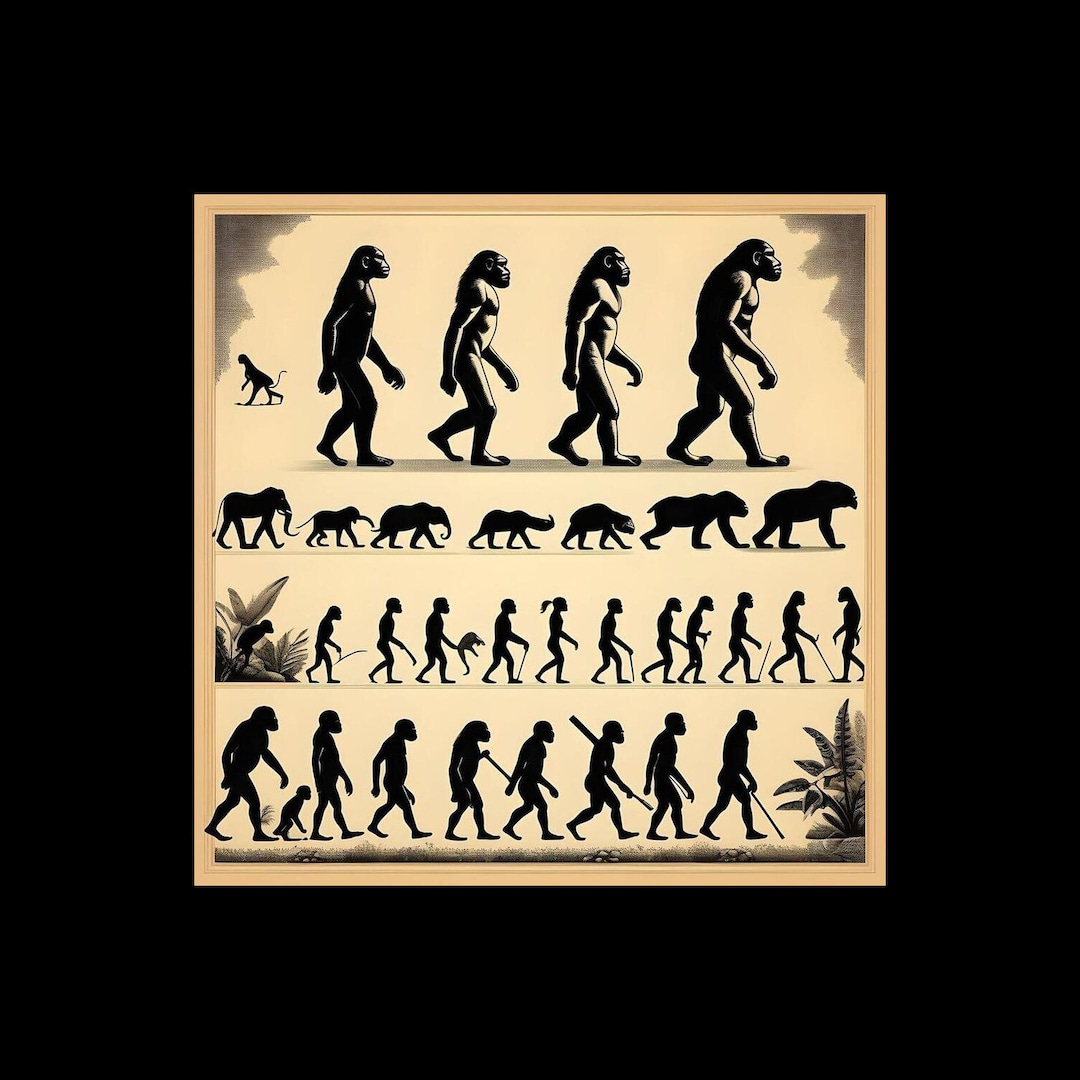 Human Evolution Biology Hominids Apes Group Diagram Chart Engraving ...