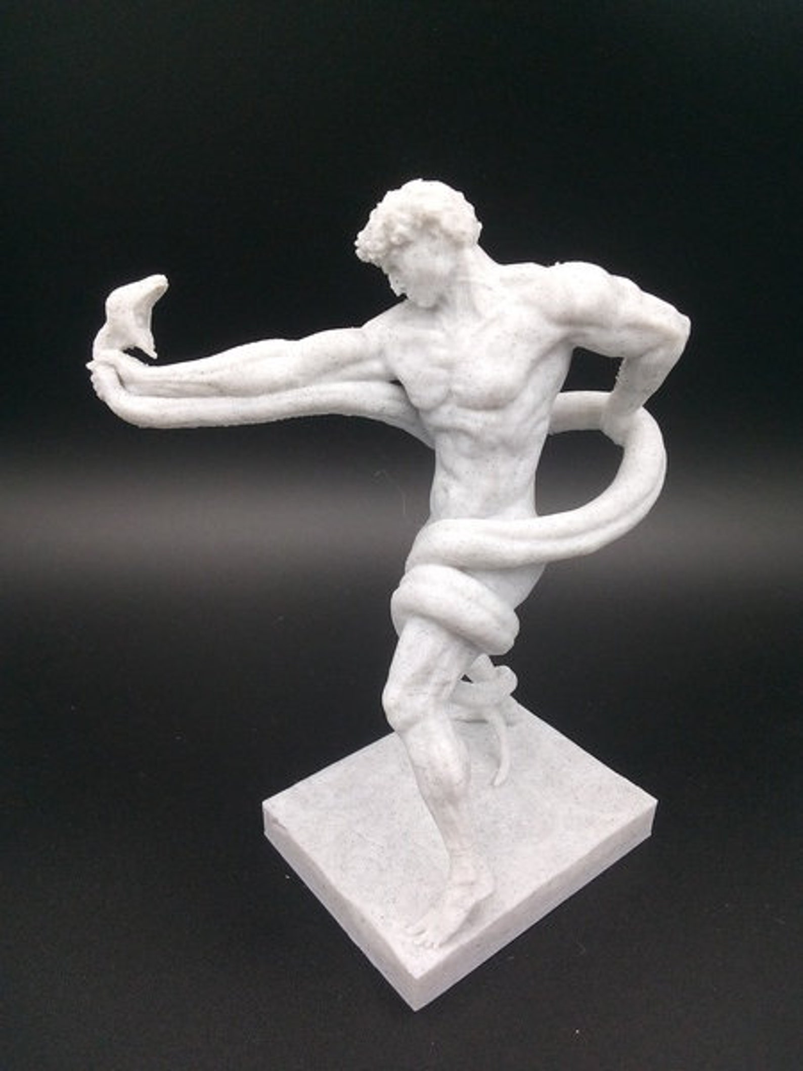 Athlete Wrestling a Python 3D Print Sculpture Statue Figure - Etsy