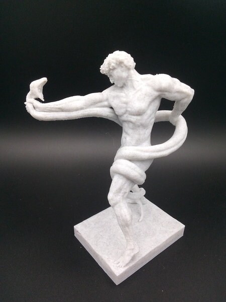 Athlete Wrestling a Python 3D Print Sculpture Statue Figure - Etsy UK
