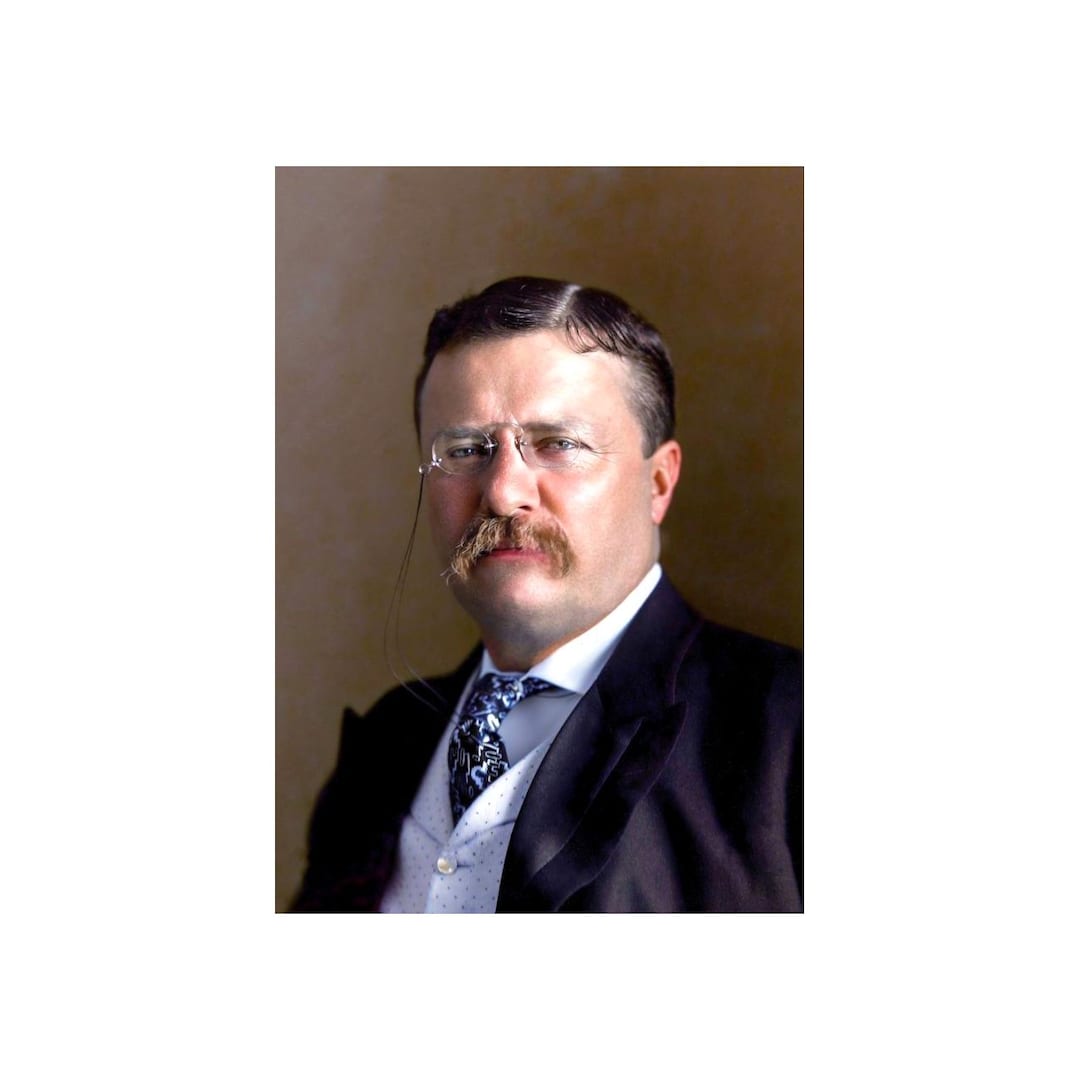 President Theodore Roosevelt 1904 Portrait Photo Art Poster Print ...