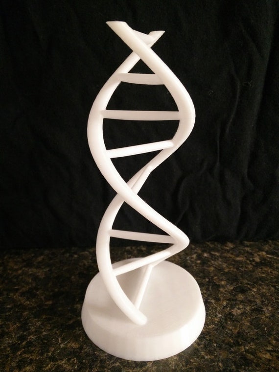Double Helix 3d Model