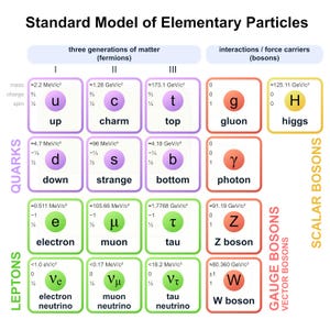 Standard Model of Elementary Particles Boson Fermion Chart Diagram ...