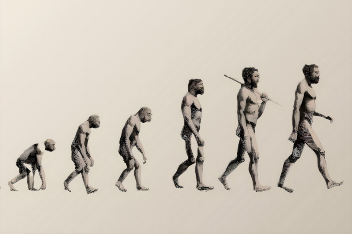Progress Advancement of Human Evolution Stages Man Biology Drawing ...
